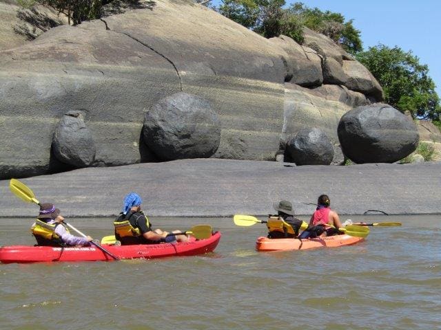 El Esplendoroso Orinoco - Ecolombia Tours